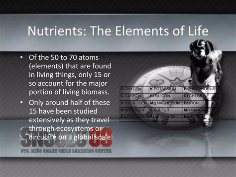 Nutrient Cycles PPT