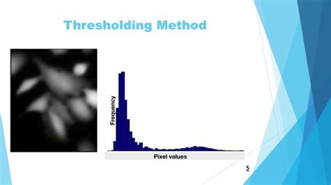 Basic Principles Of Image Segmentation In Medical Imagespptx
