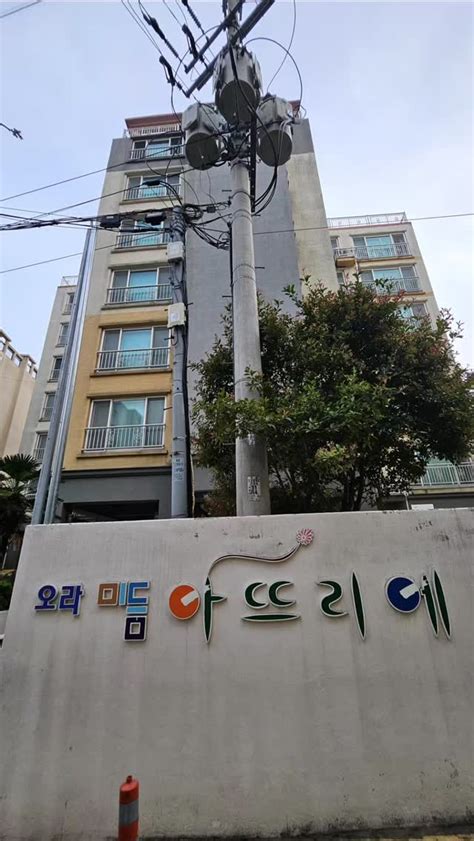 덱스터제주점 제주커튼 제주블라인드 제주특별자치도 제주시 외도에 소재한 외도초등학교 급식실 커튼 설치 이미지 설명 입니다 도소매 업체로 관급공사 및 다수의 경험으로 신속