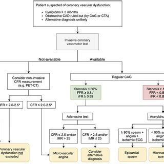 Possible Diagnostic Algorithm Download Scientific Diagram