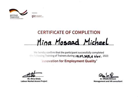 Mina Mosaad On Linkedin Finally After Training Of Trainers Tot I Can Say Officially I Am A…