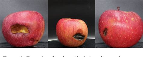Figure 1 From Tuning Small Datasets For A Custom Apple Sorting System Based On Deep Learning