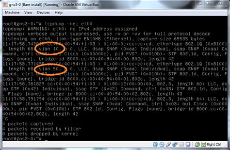 Blog Adding Vlans To The Gns3virtualbox Lab Digininja