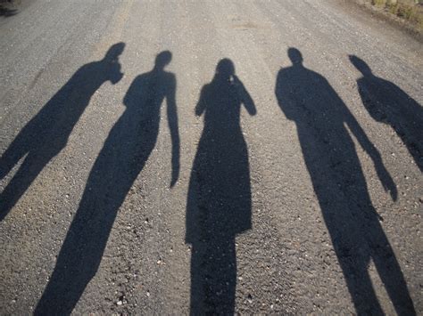 Wilderness Walking With My Siblings Shadow Shadow Wilderness