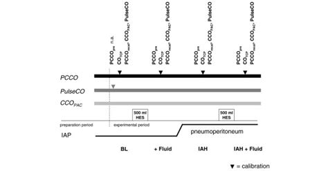 Experimental Protocol The Methods Used Were Continuous Cardiac Output Download Scientific