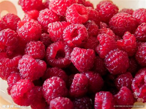 红莓 新鲜树莓 树莓篮 树莓摄影图水果生物世界摄影图库昵图网