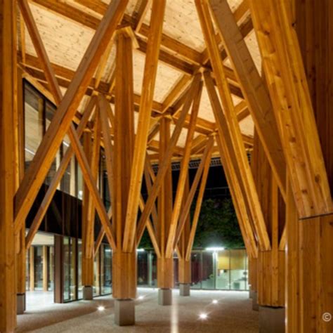 Architectuur Ontdek 21 Tree Inspired Columns And Tree Shaped Architecture Ideeën Op Dit