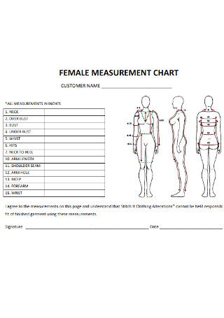 50 SAMPLE Measurement Charts In PDF MS Word