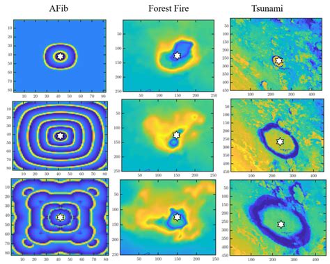 Signal Propagation Patterns In Realistic Scenarios Each Sub Figure