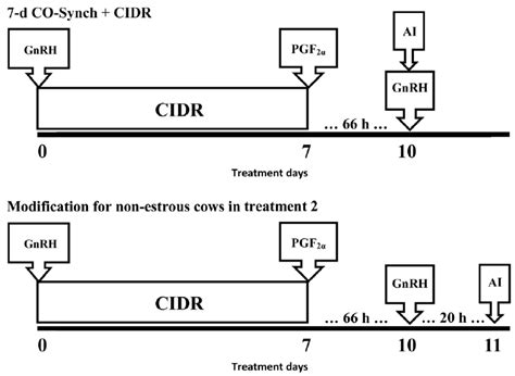Treatment Schedule For The 7 D Co Synch Controlled Internal Download Scientific Diagram