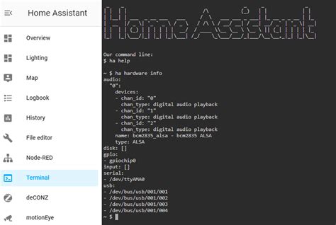 Conbee Ii Not Recognized On Raspberry Pi Zigbee Home Assistant