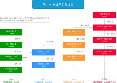 关于python的三个谎言，别再盲目学python了checkio Is A Code Game C Csdn博客