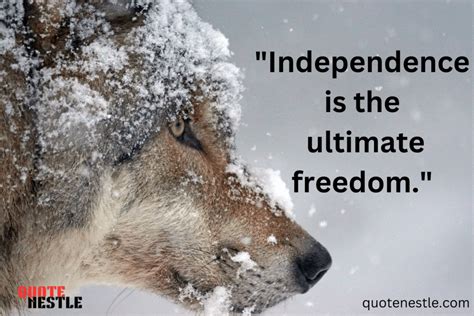 160 Best Lone Wolf Quotes Quote Nestle