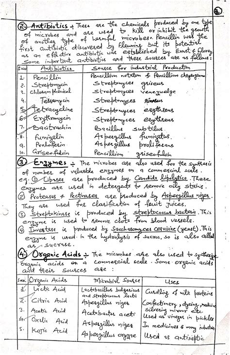 Microbes In Human Welfare Handwritten Notes For Class 12th Botany Artofit