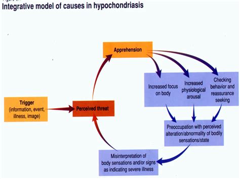 Abnormal Psychology Ch 6 Diagram Quizlet