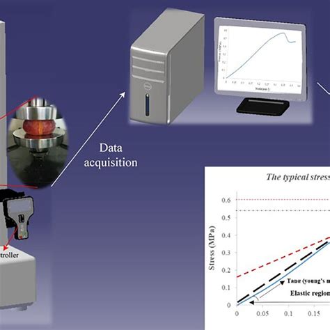 Component Of The Compression Test Apparatus And The Stress Strain Graph Download Scientific