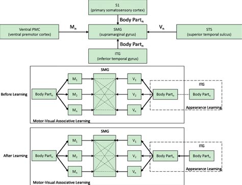 Brain Inspired Associative Learning In Smg Download Scientific Diagram