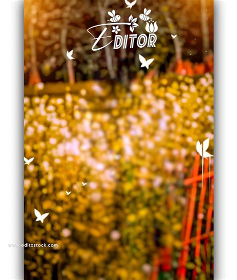 Editor Cb Editing Background 4k