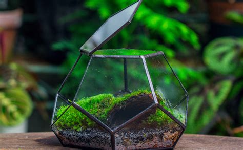 Ncyp Small Glass Geometric Terrarium With Door 18x18x12 Cm Black