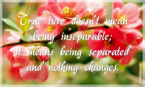 True Love Doesnt Mean Being Inseparable Silver Quotes
