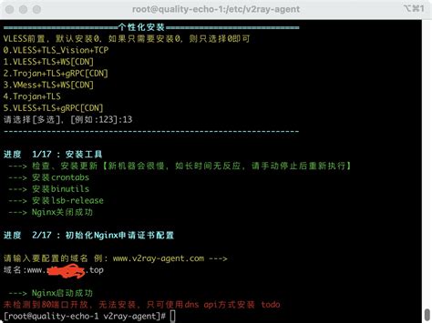 请仔细按照模版看填写否则一律关闭issue Issue 607 mack a v2ray agent GitHub