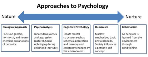 Aqa Psychology A Level Issues And Debates