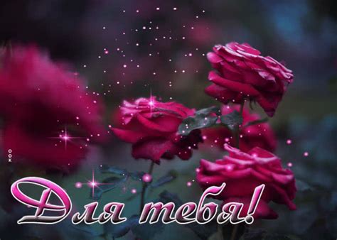 Прекрасная и утонченная гиф открытка с розами Для тебя Скачать бесплатно на
