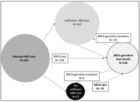 Description Of Hrd Test Results In Combination With Brca1 2 Germline Download Scientific