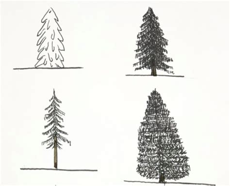 How To Draw A Realistic Tree Step By Step Easy