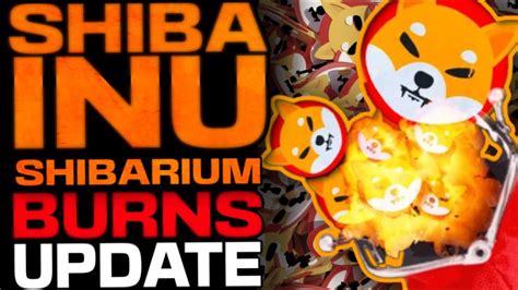 Shiba Inu Coin Another Shibarium Burn Update Youtube
