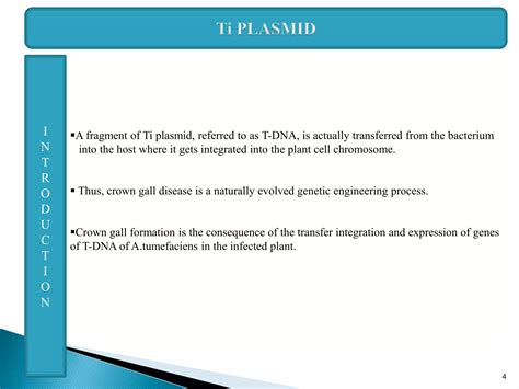 Ti Plasmid Pptx