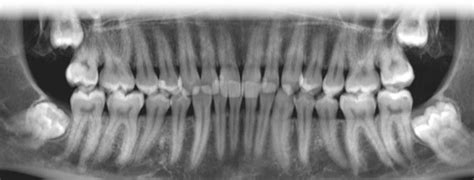 Dr Wedderburn Maxwell And Partners Incorporated