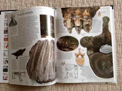Evolution Dorling Kindersley Eyewitness Book Written By Linda Gamlin Etsy