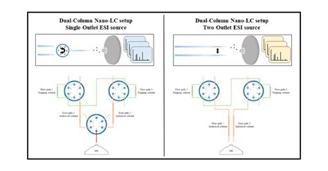 Simon Devos On Linkedin High Throughput Nanoflow Proteomics Using A Dual Column Electrospray Source