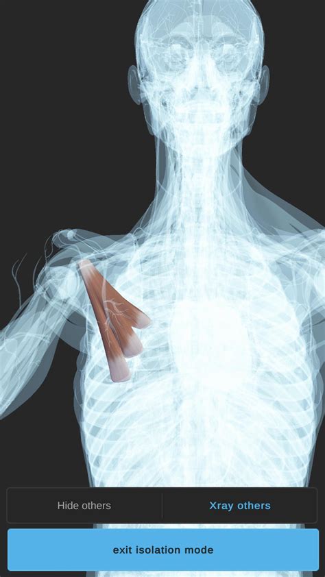 Visual Anatomy 3d Apk For Android Download