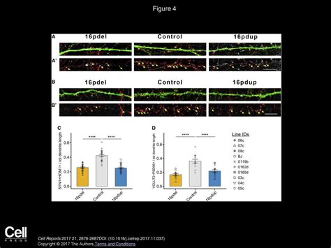 Volume 21 Issue 10 Pages December 2017 Ppt Download