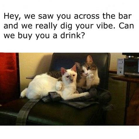 Too Funny Not To Share The Top Sex Memes That Will Make Your Day