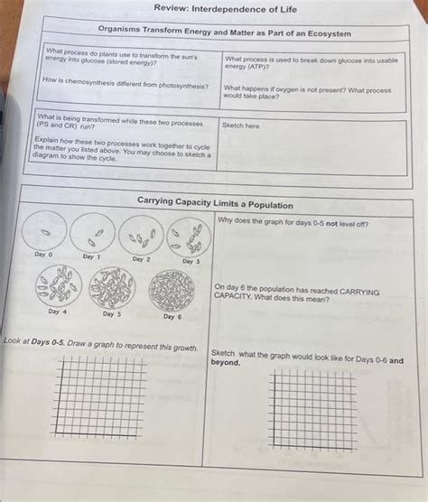Solved QUICK REVIEW CELL UNIT Identifying Different Types Chegg Com