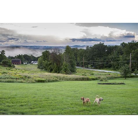 Lawrence Libby Gallery Sitka