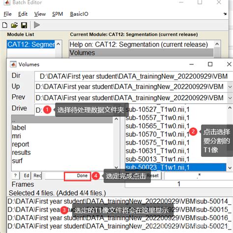 基于cat12和spm12进行vbmandsbm数据分析笔记1——数据预处理经验分享beta Gitcode 开源社区