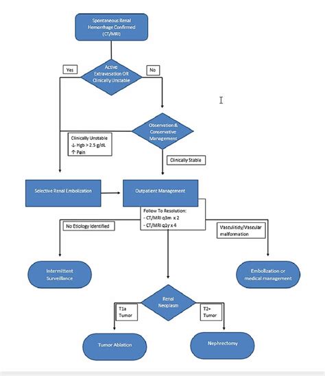 Suggested Algorithm For Evaluation Of Spontaneous Renal Hemorrhage Hgb