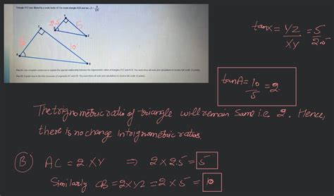 triangle xyz was dilated by a scale factor of 2 to create triangle acb an