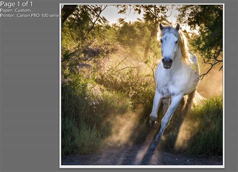 setting up a custom user defined paper size for epson with lightroom