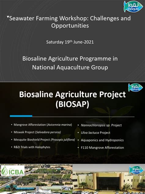 Seawater Farming Workshop Challenges And Opportunities Workshop Naqua Pdf Aquaponics Salinity