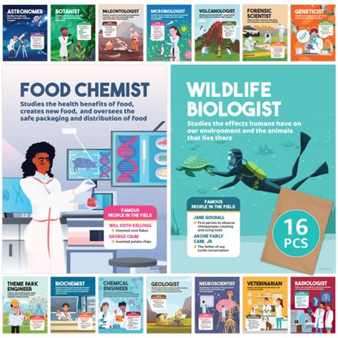 16 Classroom Science Posters For Classroom Elementary School 11x14in