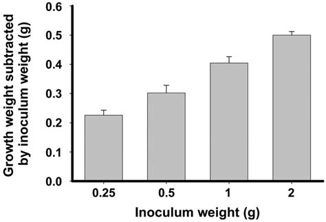 Growth Of Adventitious Transgenic Ginseng Root Tips After 30 Days Of