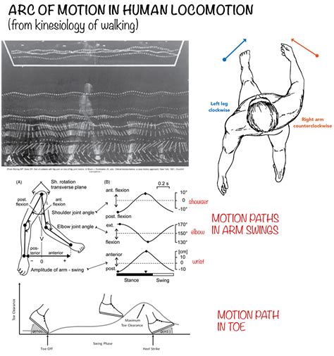 Arc Of A Motion Principle Cristina Teaching Art