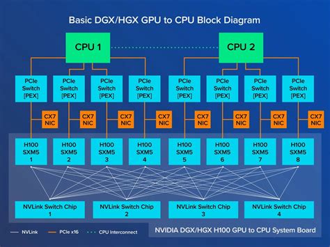 Understanding Oam And Sxm In Nvidia Gpus Genspark