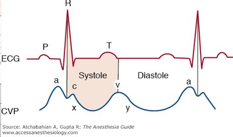 Apex Mock 5 Flashcards Quizlet Apex Mock 5 Flashcards Quizlet