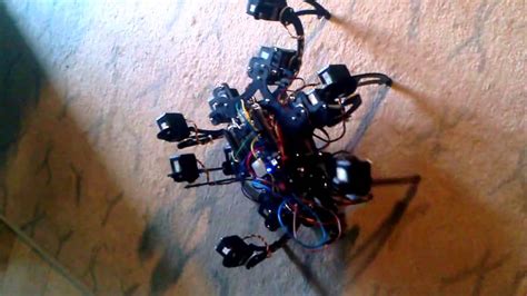 Bbb Controls The Pbrain For Hexapod Robot Beagleboneblack Txinstruments Beagleboardorg